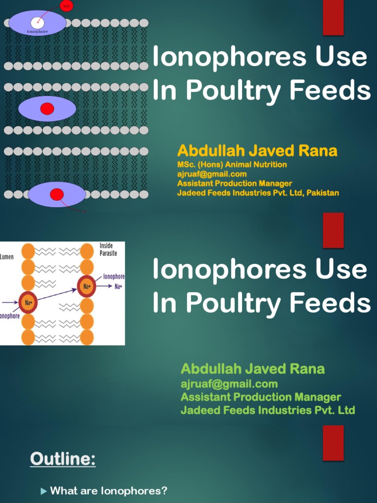 Ionophores in Poultry Nutrition | PDF | Calcium In Biology | Chemistry