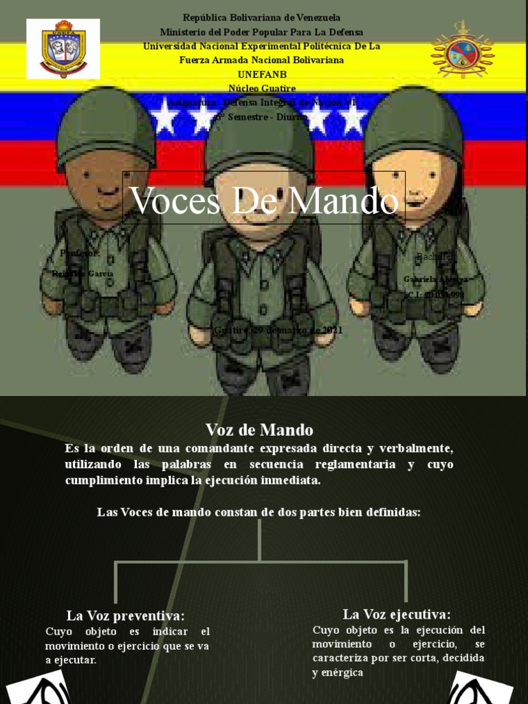 Características de las Voces de Mando | PDF