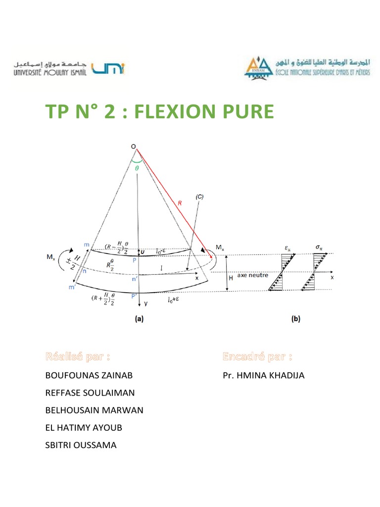 TP RDM Flexion | PDF