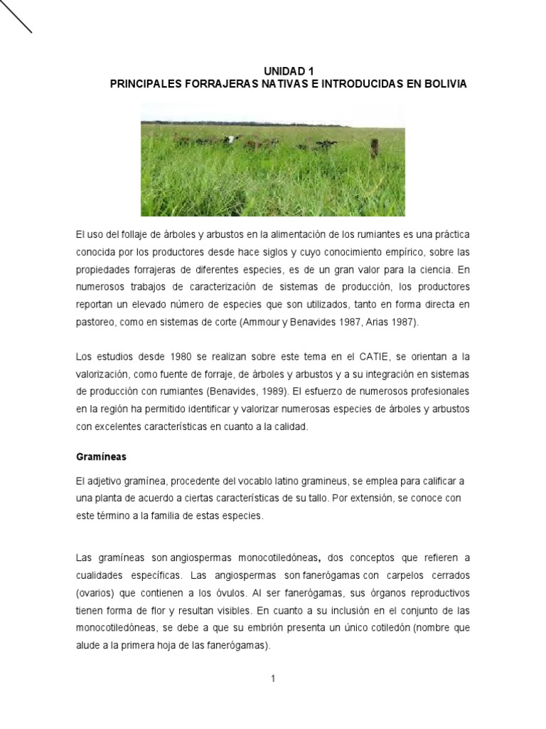 Texto Guia Fmp-500 | PDF | Agricultura | Legumbre
