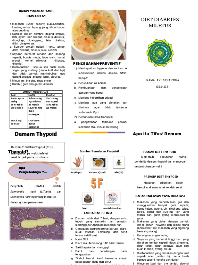 Leaflet Typoid | PDF