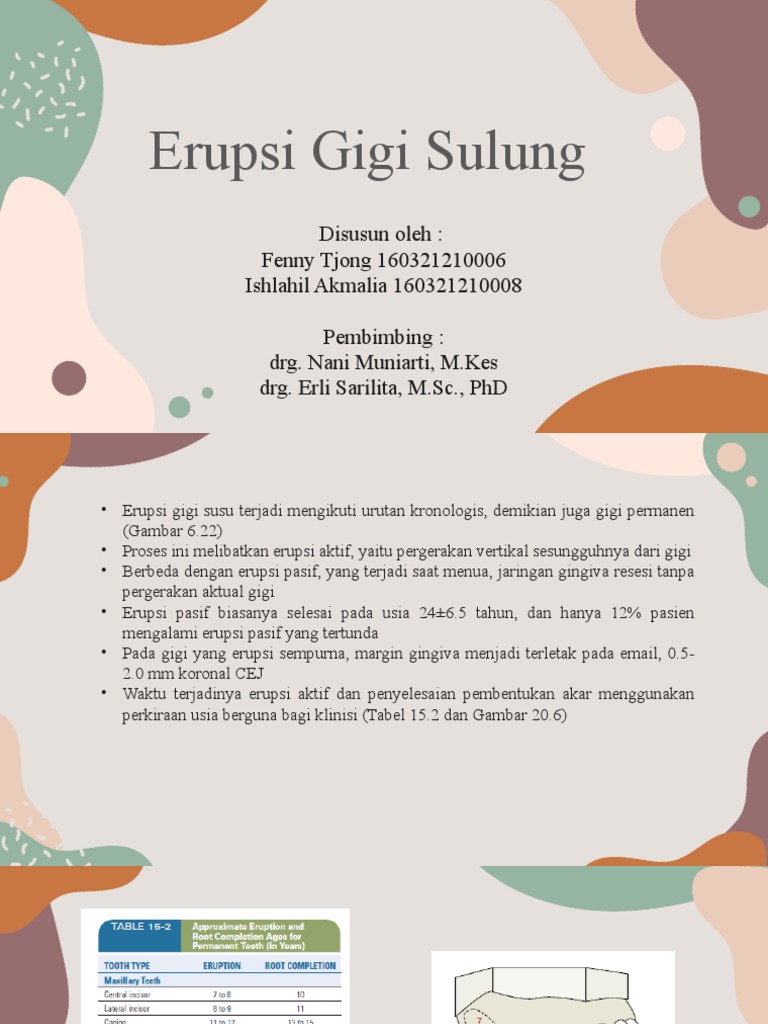 Erupsi Gigi Sulung | PDF