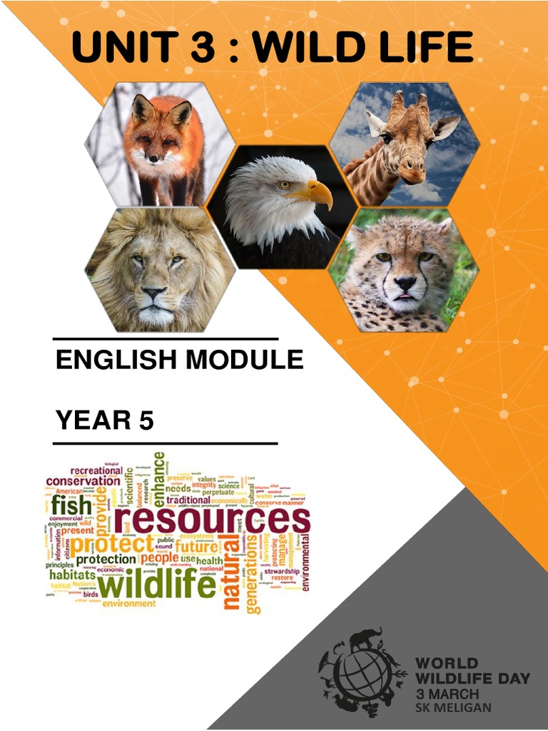BI Year 5 - Unit 3 | PDF | Learning | Eagle