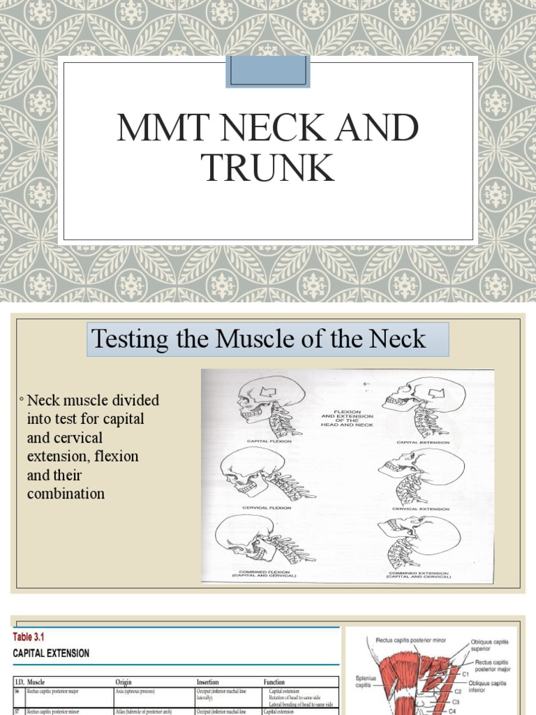 MMT Neck An Trunk | PDF | Anatomical Terms Of Motion | Musculoskeletal ...