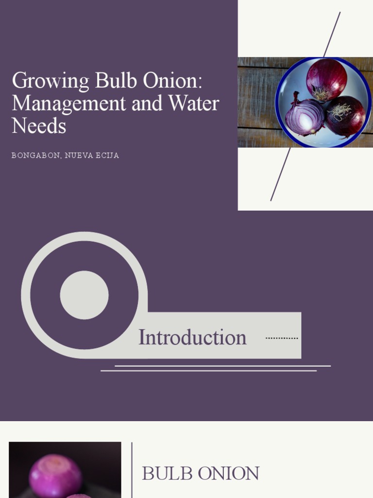 Growing Onion Management and Water Needs | PDF | Onion | Landscape