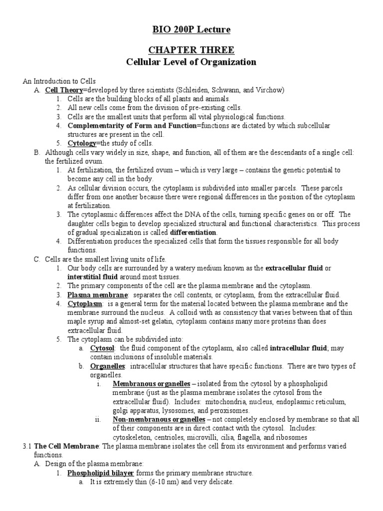 Notes - Chapter 3 - Cellular Level of Organization | PDF | Rna | Cell ...