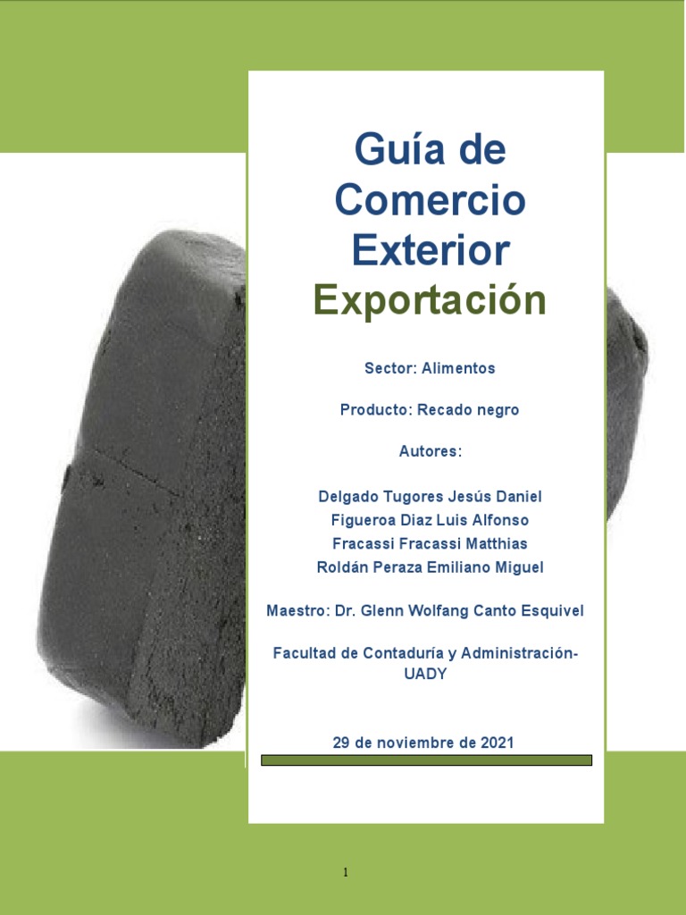 Guia Recado Negro | PDF | Seguro | Bancos