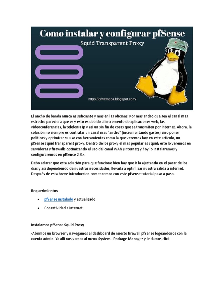 Como Instalar y Configurar Pfsense Squid Transparent Proxy | PDF | Servidor proxy | Software