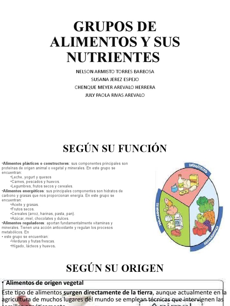 Grupos de Alimentos y Sus Nutrientes | PDF