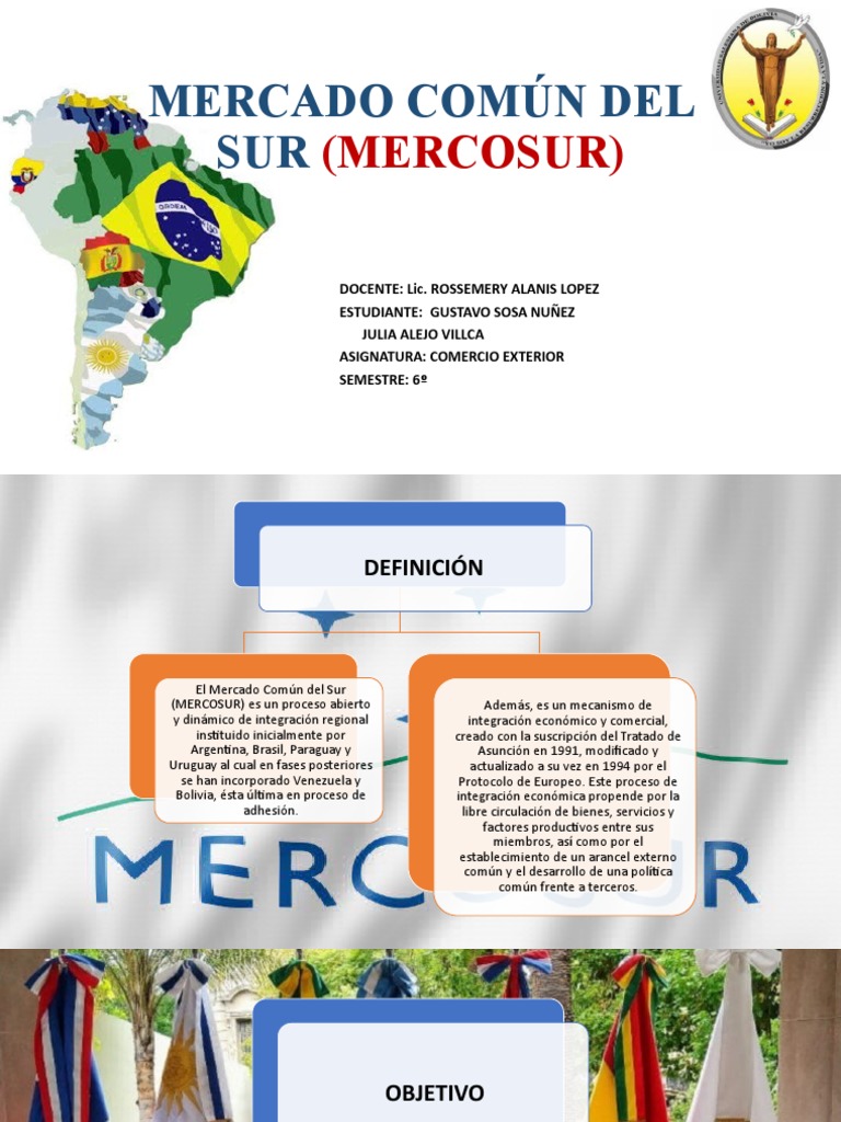 Mercado Común Del Sur (MERCOSUR) | PDF | Economias