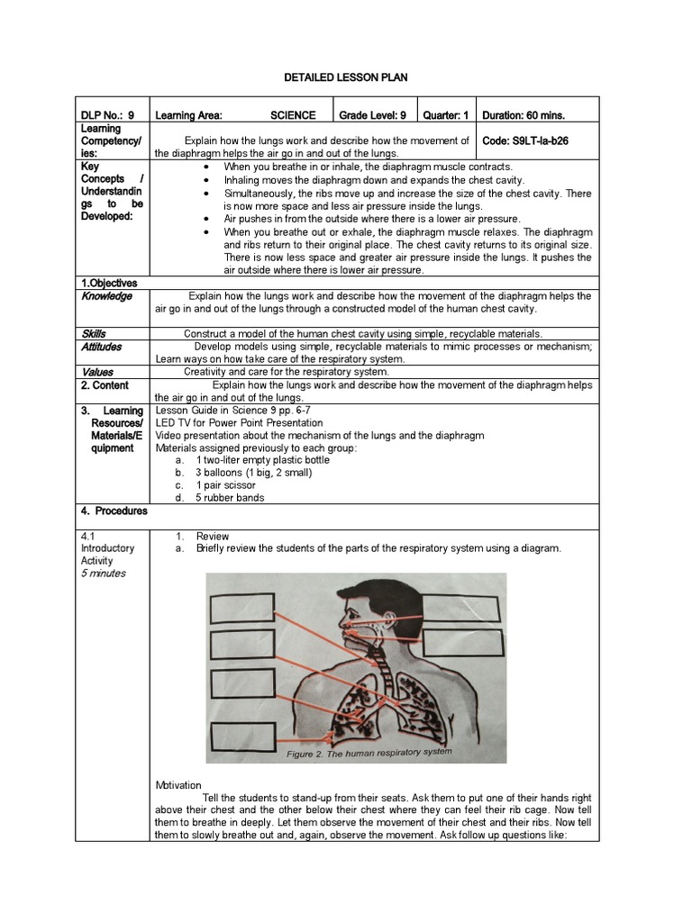 Lesson Plan in Science | PDF | Breathing | Respiratory System