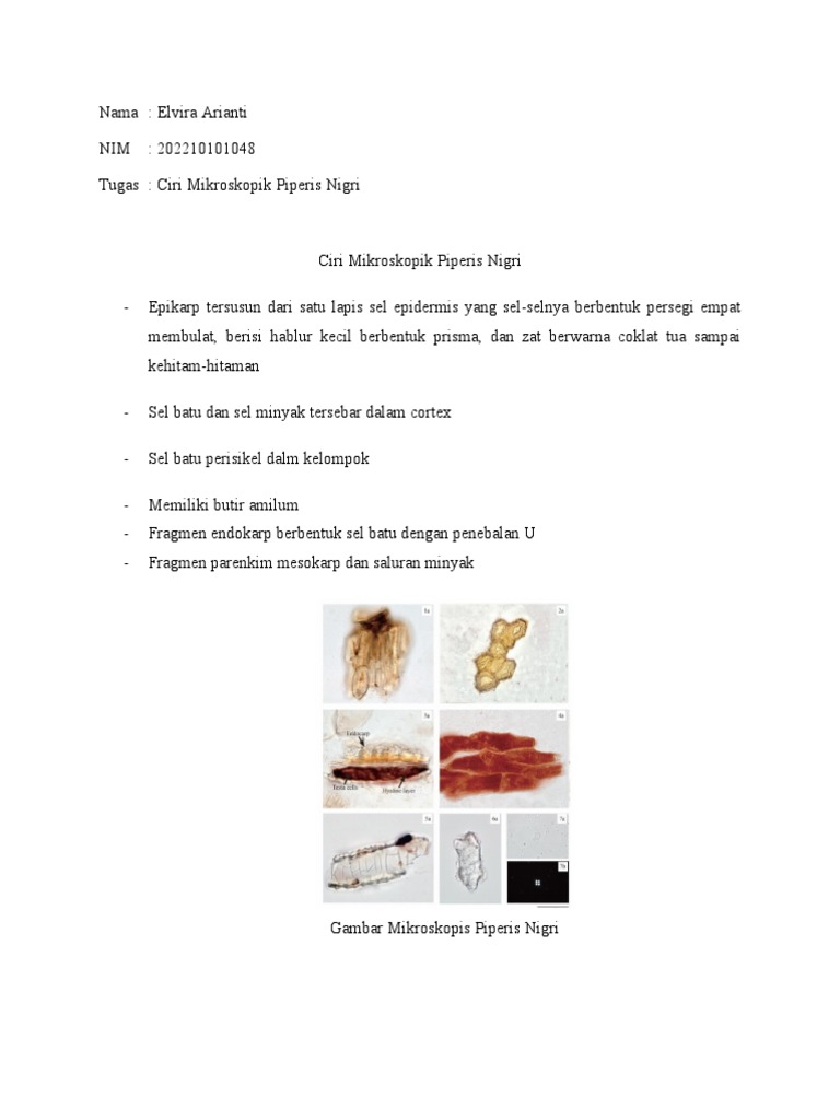Tugas Ciri Piperis | PDF | Kesehatan Holistik | Sains & Matematika