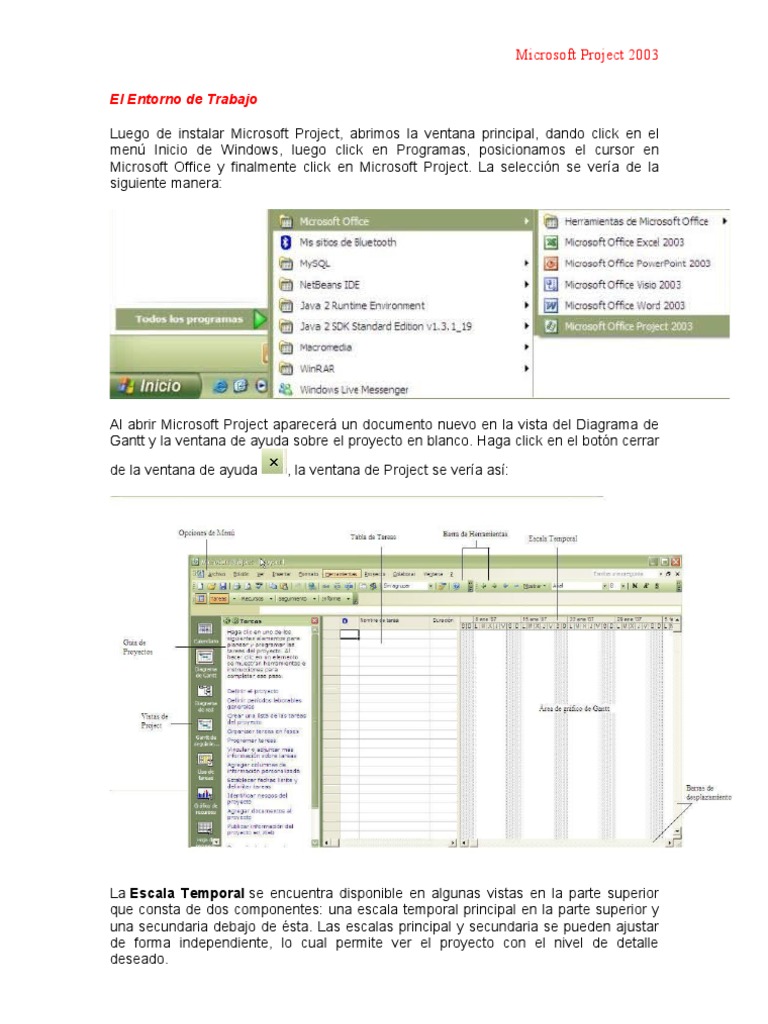 Introducción a Microsoft Project 2003 | PDF | Ventana (informática) | Microsoft