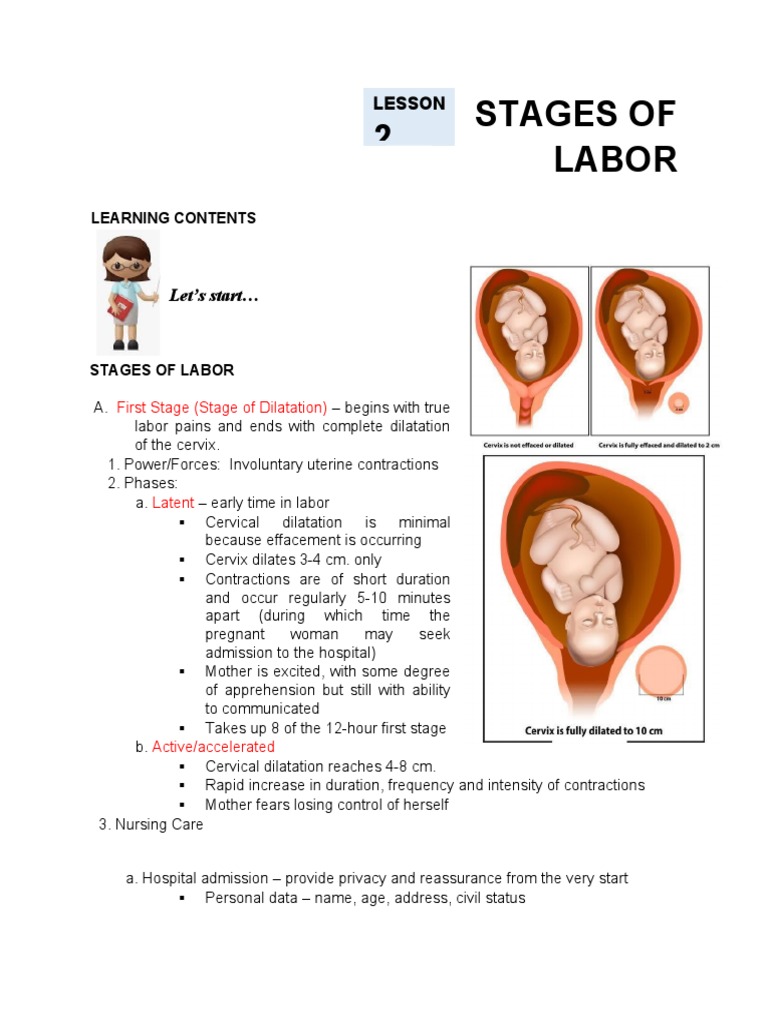 Stages of Labor 2: Let's Start | PDF | Childbirth | Uterus