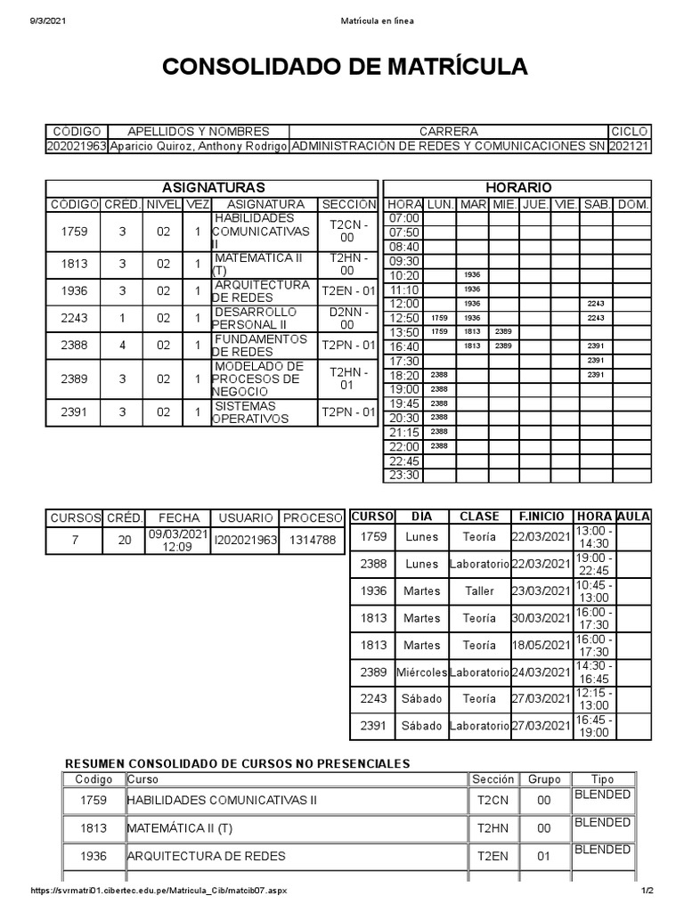 Matrícula en Línea | PDF