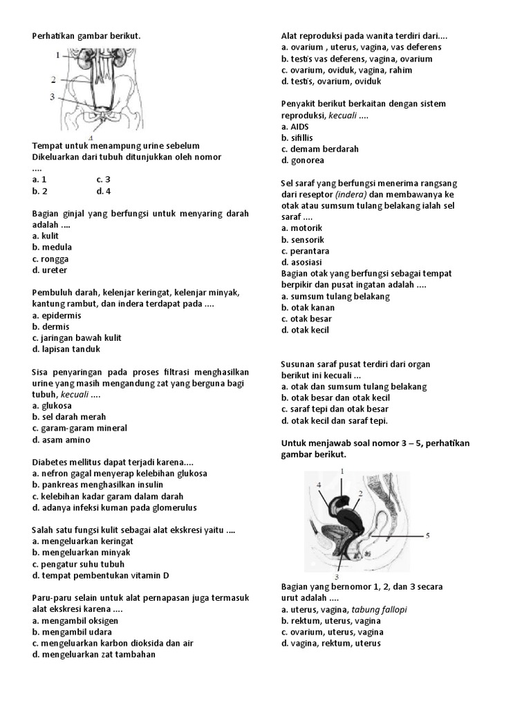 Uas Ipa Kelas 9 Aura Chindy | PDF