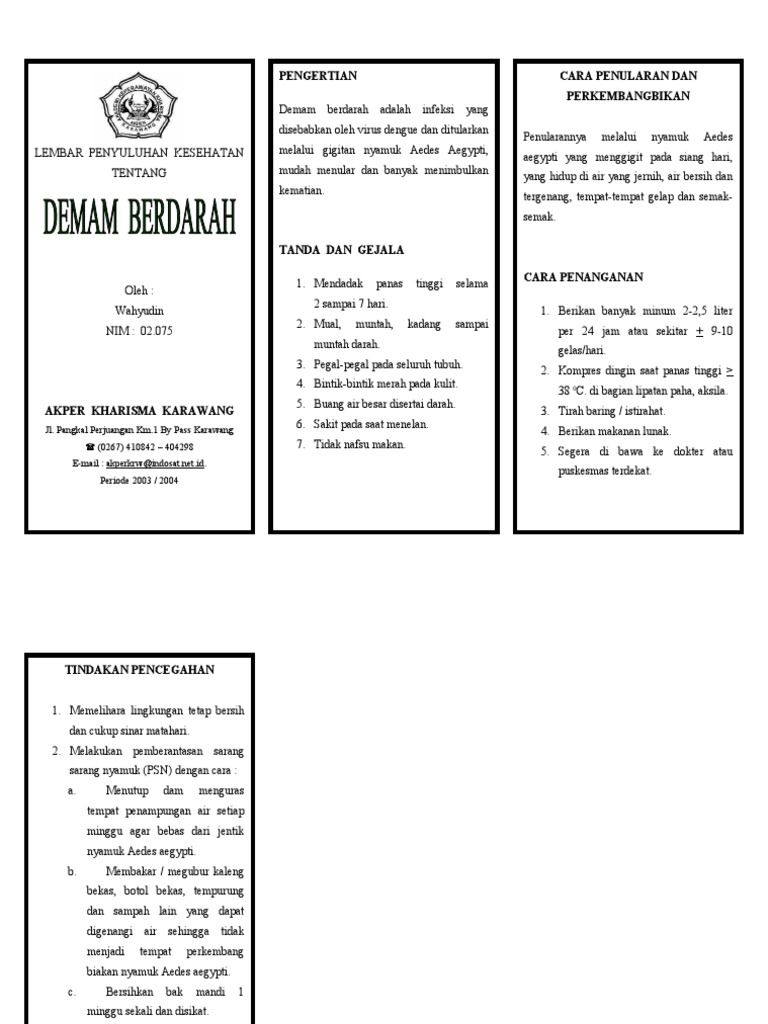 Leaflet Demam Berdarah | PDF