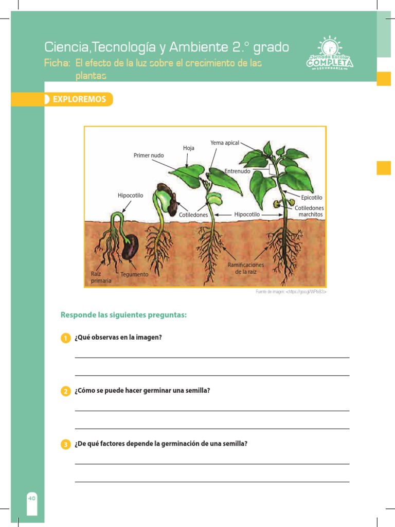 Ciencia, Tecnología y Ambiente 2 Cuaderno de Reforzamiento Pedagógico - JEC-pages-40-48 | PDF ...