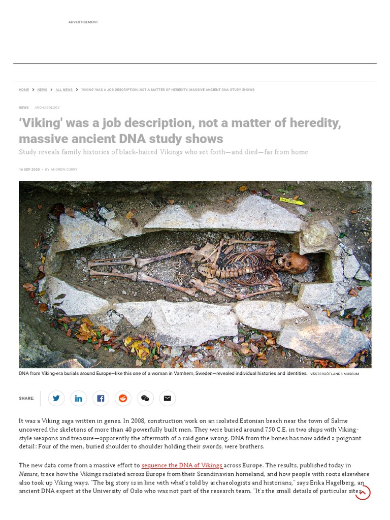 Viking' Was A Job Description, Not A Matter of Heredity, Massive ...