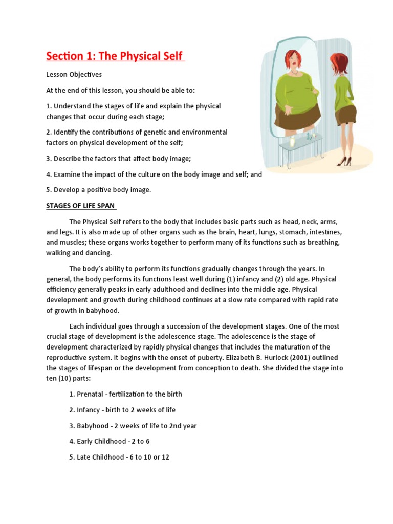 Section 1: The Physical Self: Stages of Life Span | PDF | Body Image ...