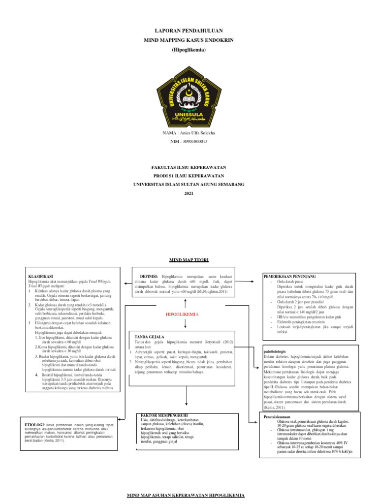 Mapping LP Endokrin Hipoglikemia - Anies Ulfa Solekha - 30901800013 | PDF