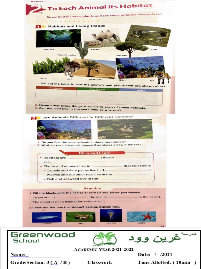 Grade 3 - Animals and Their Habitats | PDF