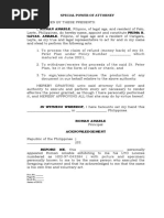 Process Apostile and Certification Sample SPA | PDF | Power Of Attorney ...