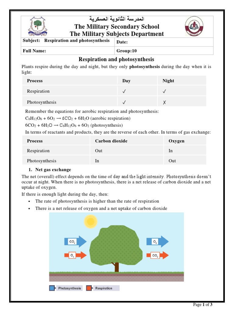 Respiration and Photosynthesis | PDF | Leaf | Stoma