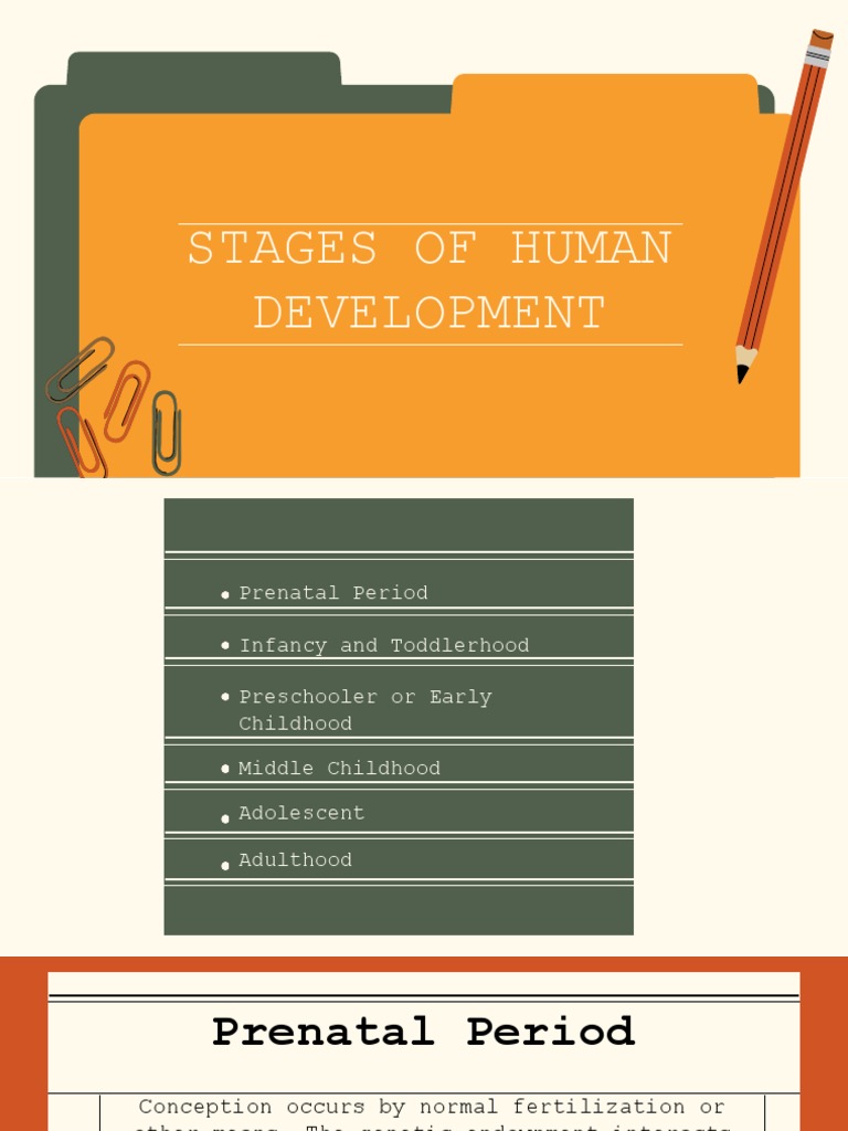 Stages of Human Development and Issues On Human Development | PDF ...