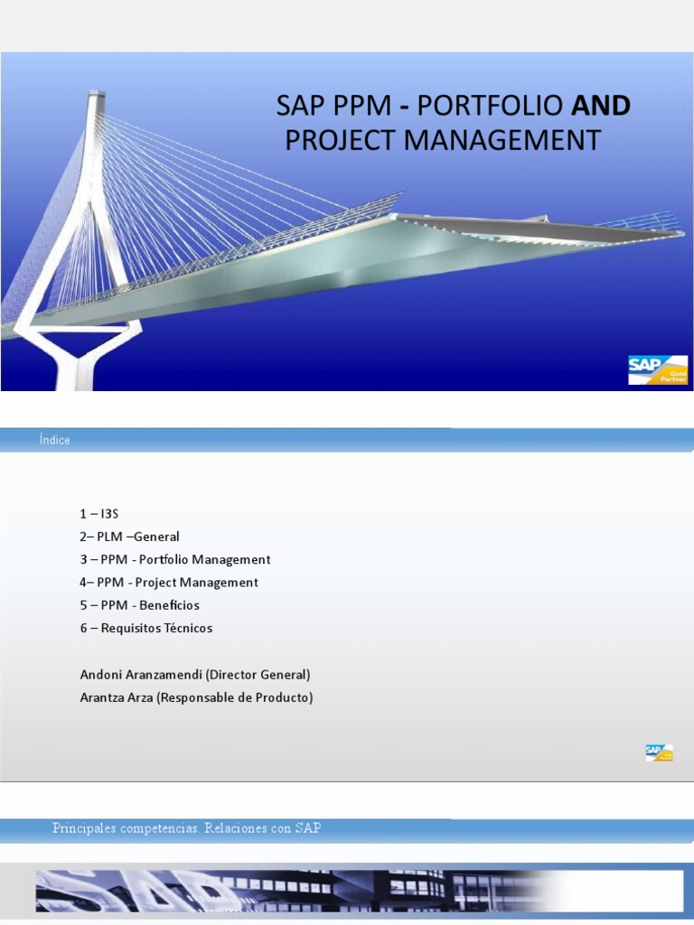 Sap PPM Portfolio and Project Management | PDF | Gestión de proyectos ...