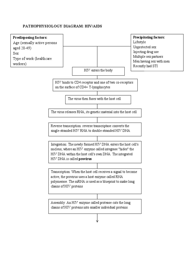 HIV & AIDS Pathophysiology | PDF | Hiv/Aids | Hiv
