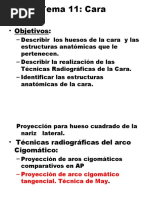 ANEXO TEMA 3 RODILLA-Fosa Intercondilea | PDF | Rodilla | Pelvis