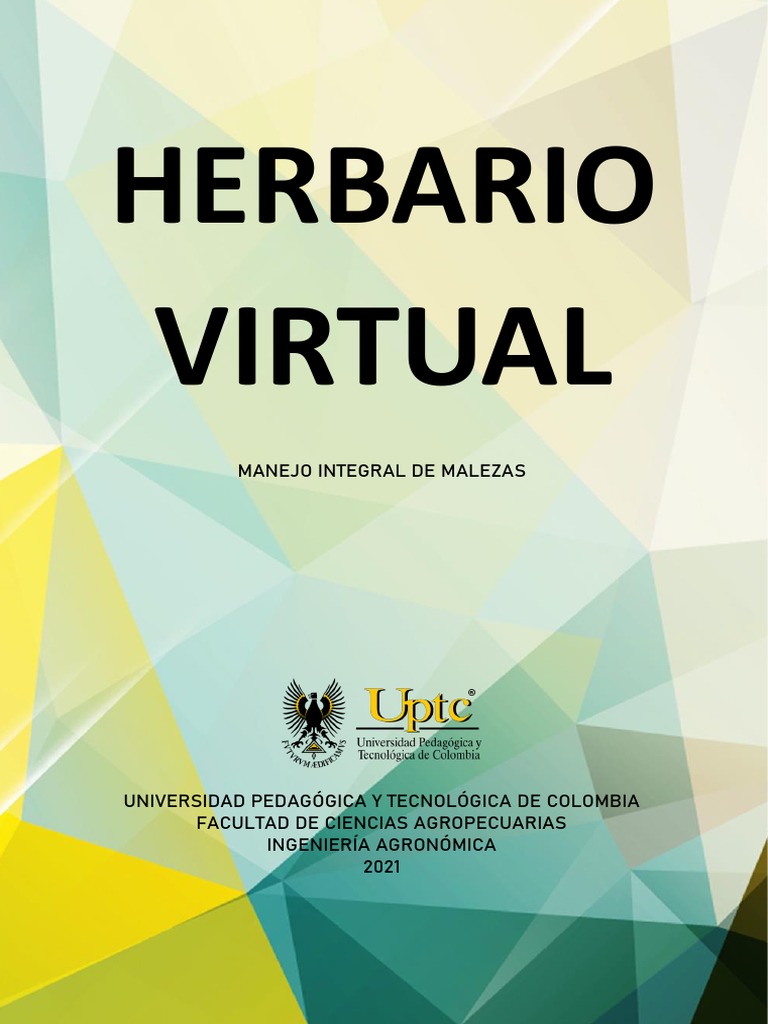 Herbario Virtual PDF | PDF | Plantas | Botánica