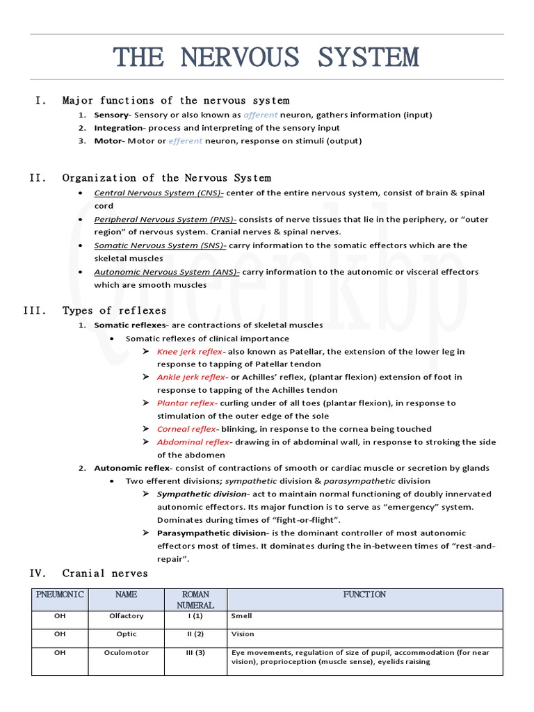 Nervous System - Anatomy & Physiology | PDF | Nervous System ...