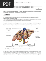 Anatomie2an-Systeme Porte | PDF | Foie | Pancréas