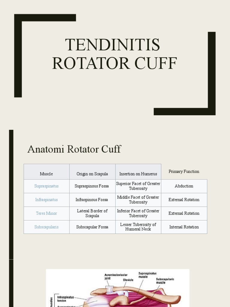 Tendinitis Rotator Cuff | PDF | Shoulder | Clinical Medicine