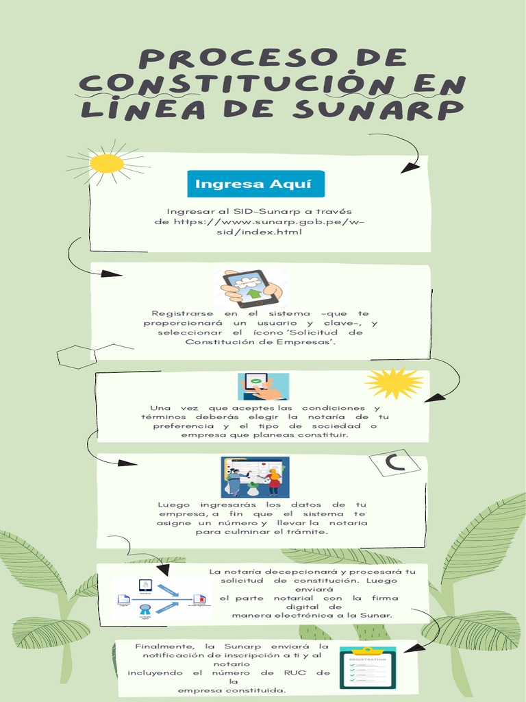 Proceso de Constitución en Línea de SUNARP | PDF