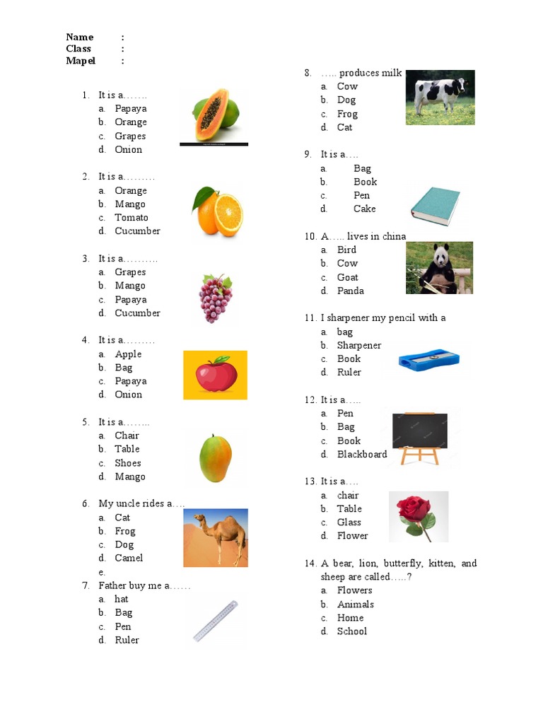 Vocabulary Test | PDF
