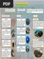 TABLAZOS | PDF | Perú | Geología