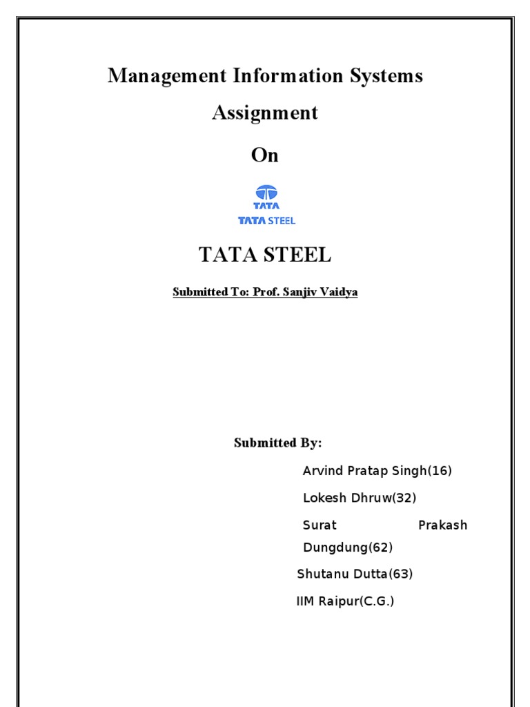 Mis Project | PDF | Enterprise Resource Planning | Mergers And Acquisitions