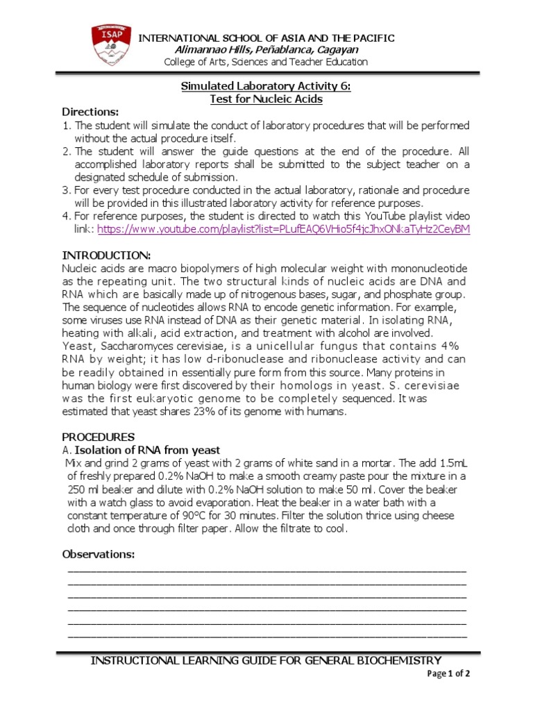 Nucleic Acids Testing in Yeast | PDF | Nucleic Acids | Life Sciences