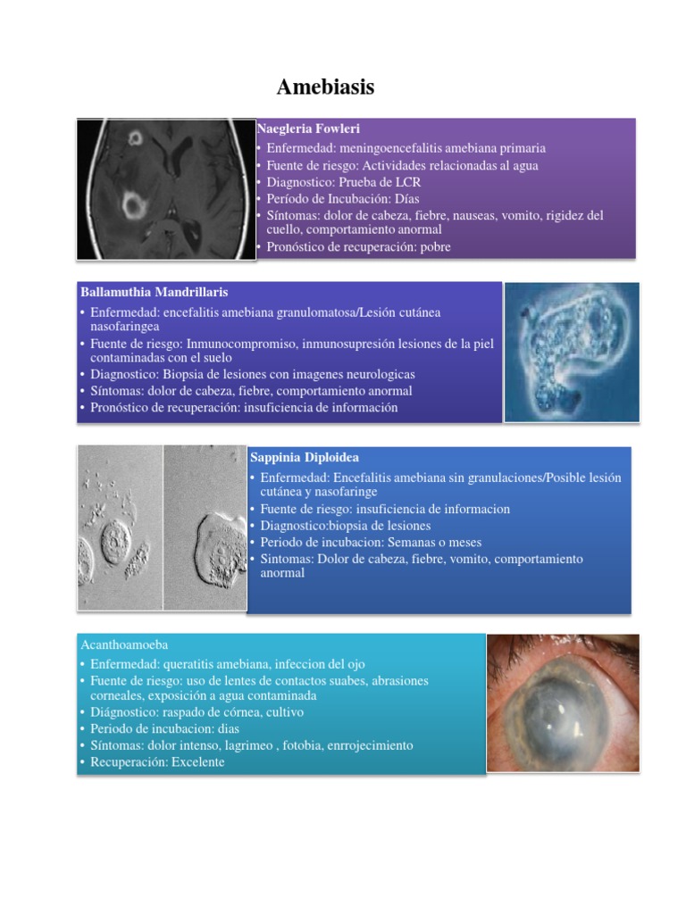 AMEBIASIS | PDF | Especialidades Medicas | Medicina CLINICA
