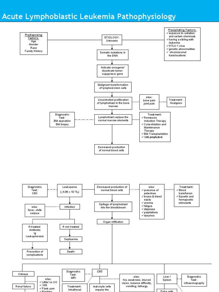 Acute Lymphoblastic Leukemia Pathophysiology Predisposing Factors