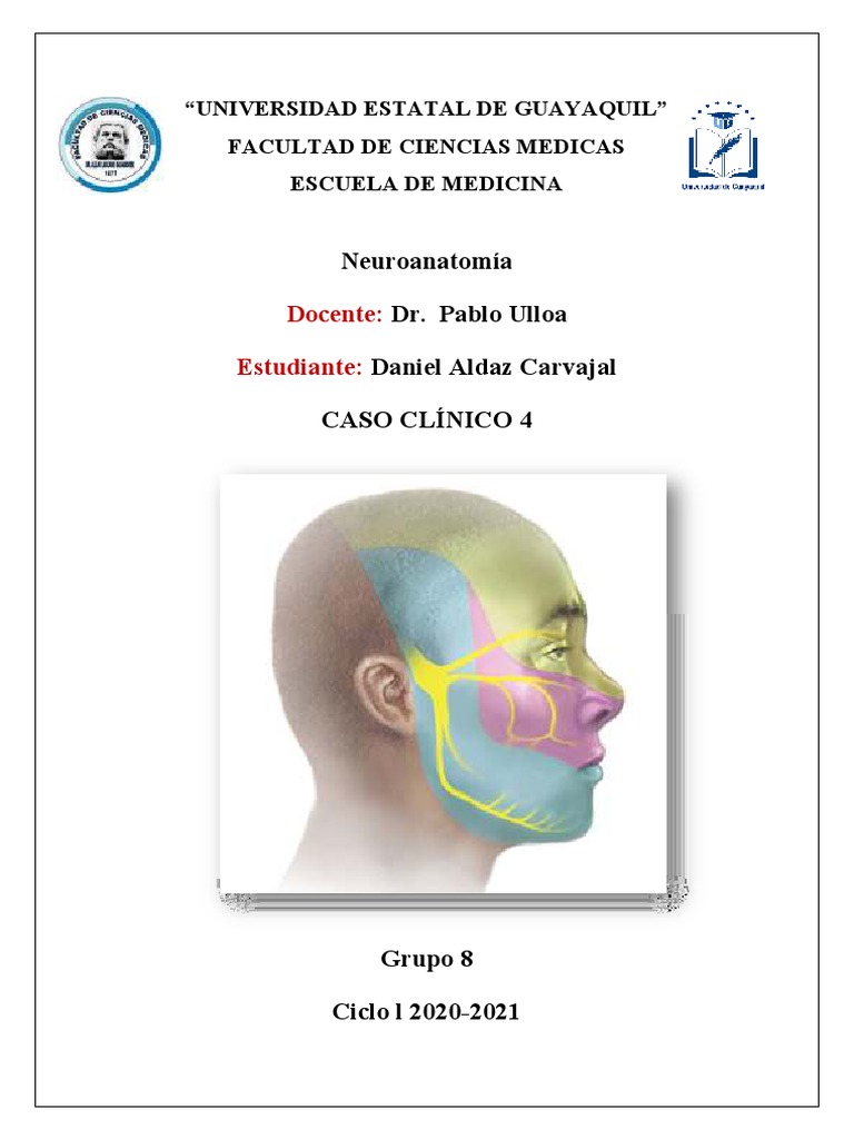 Docente: Estudiante:: Neuroanatomía Dr. Pablo Ulloa Daniel Aldaz ...