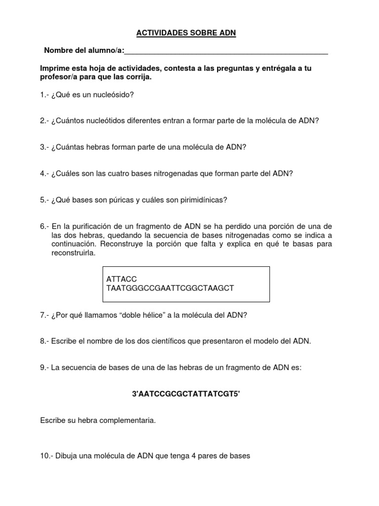 Hoja De Trabajo Sobre La Estructura Del Adn Para La Escuela Secundaria