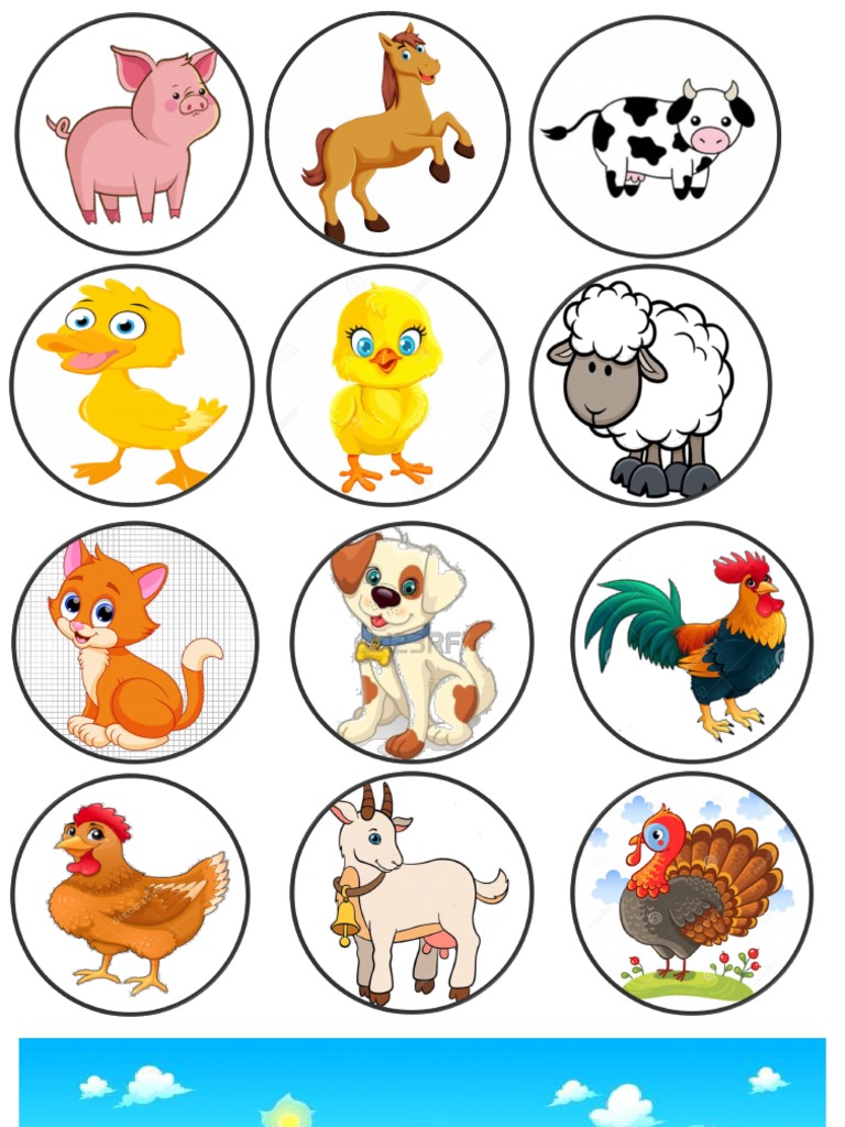 Animales Circular | PDF