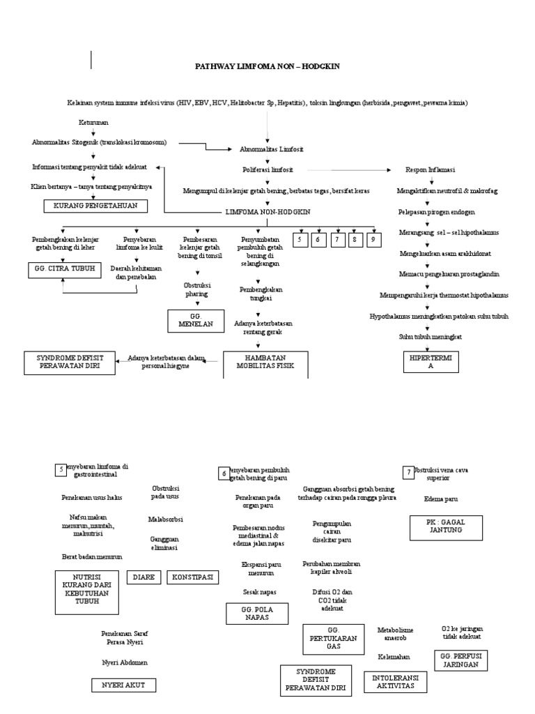 Patwhay Non Limfoma Hodgkin | PDF