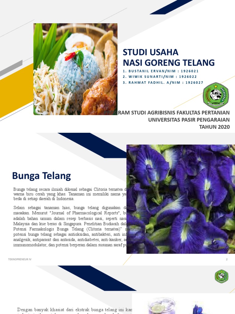 Usaha Nasi Goreng Biru (Bunga Telang) | PDF