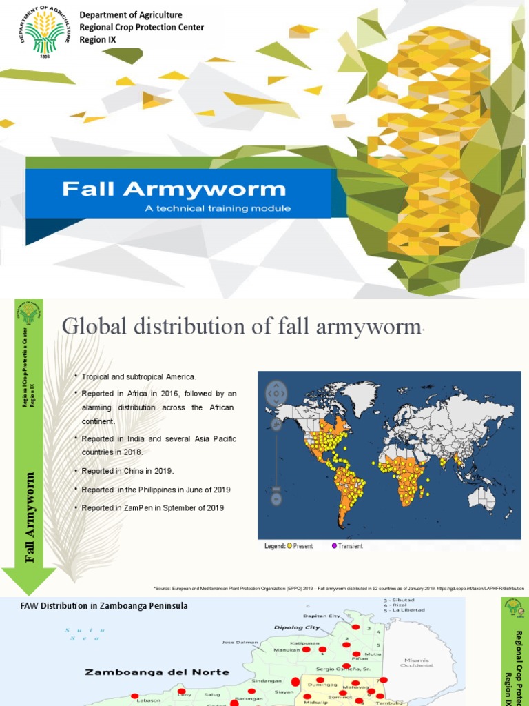 FAW Final Presentation MARCH | PDF | Agriculture | Pupa