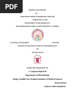 Homemade Break-Barrel Shotgun Plans (Professor Parabellum) | PDF ...